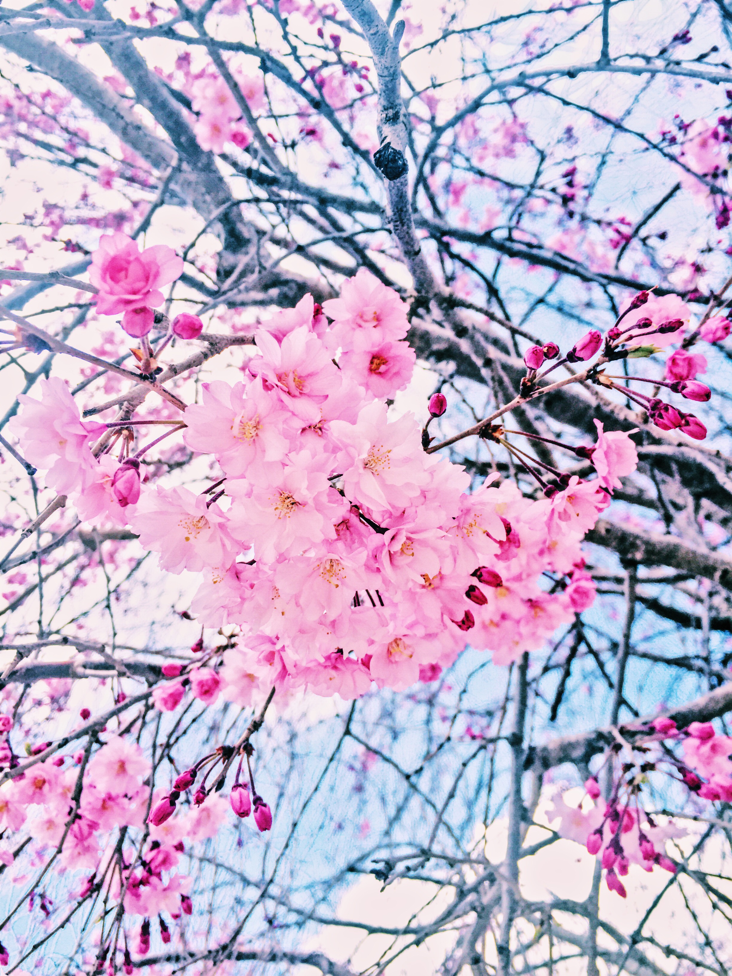 High Bloom - UnbecomingMe